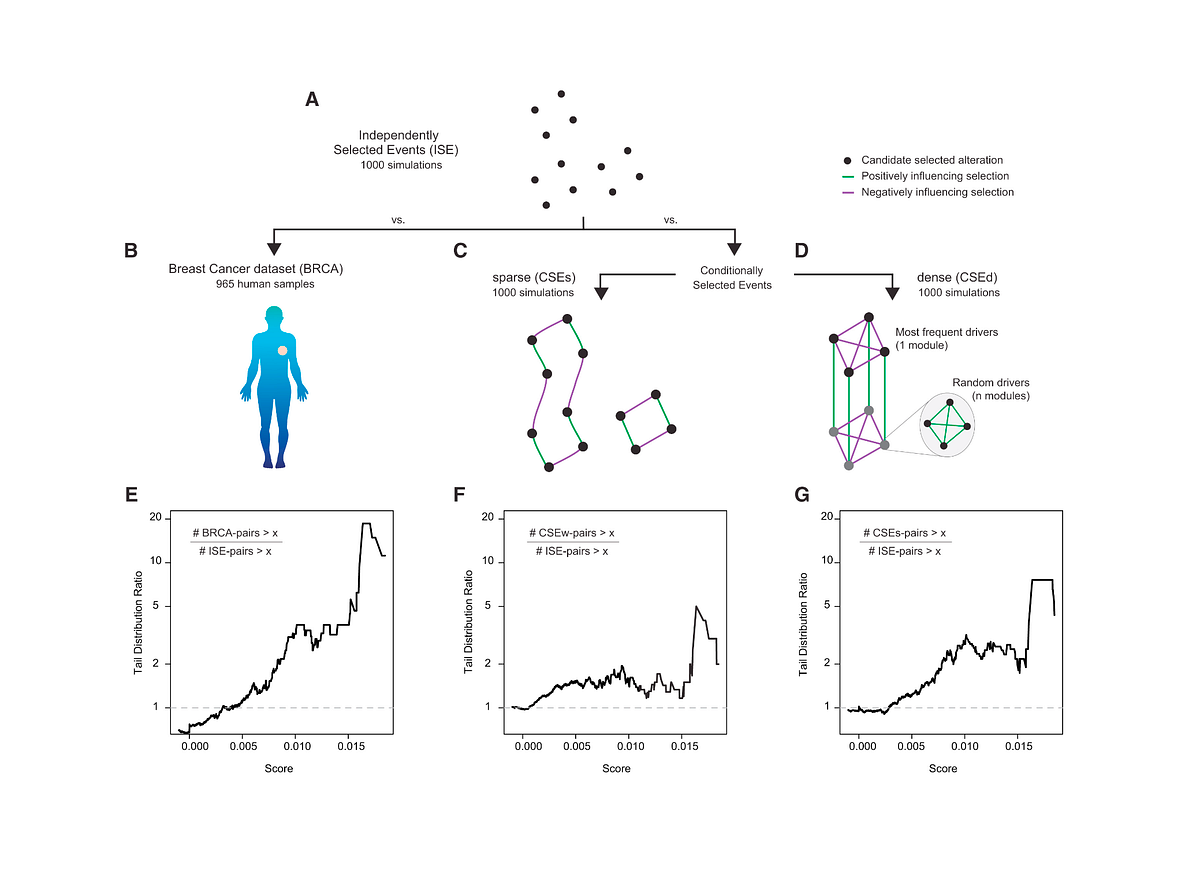 [Network Theory] Building the biological network with MI — case study ...