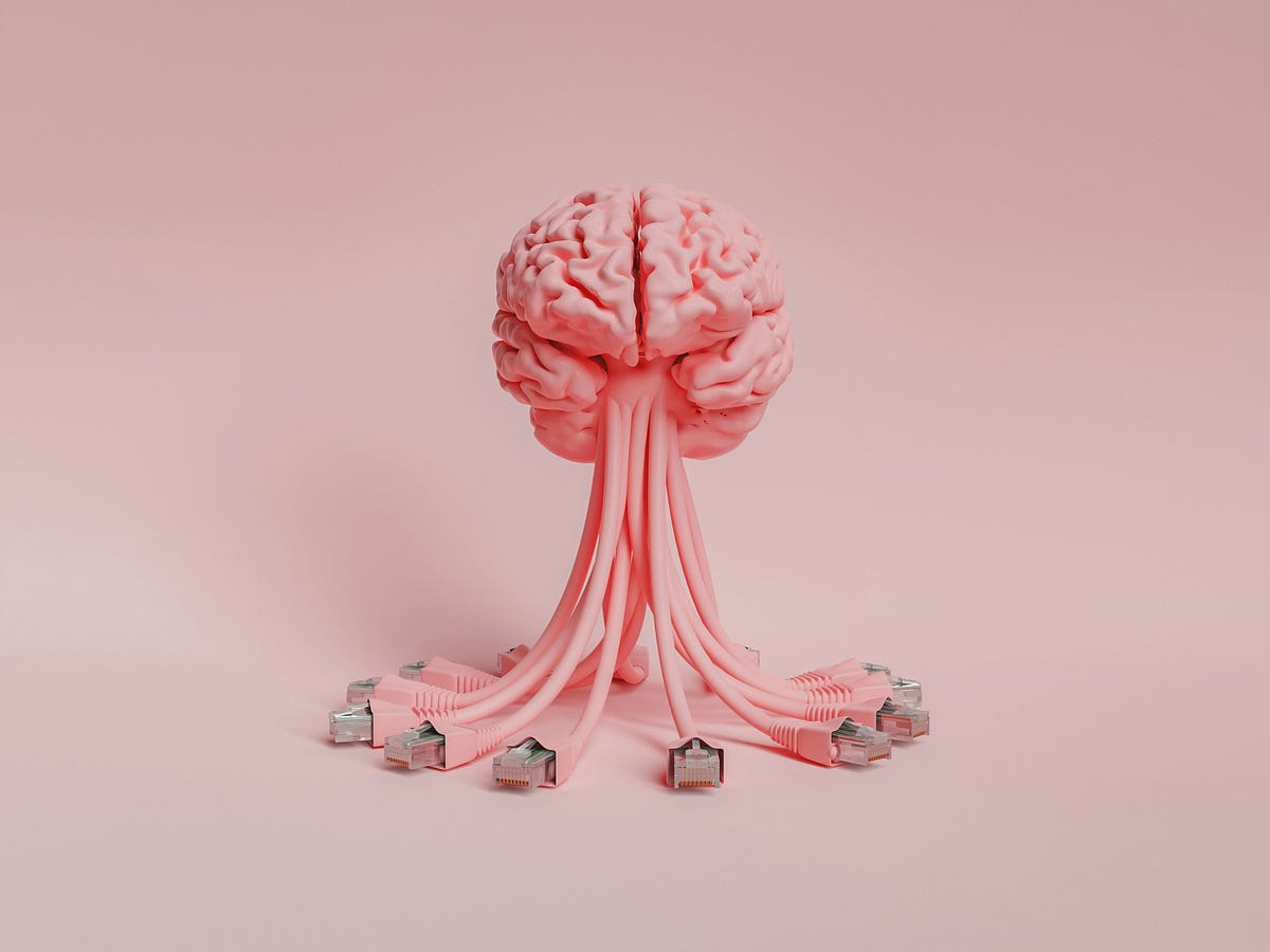 Brain Rules — 12 Real World Applications | by Joshua Bostick | The Pub ...