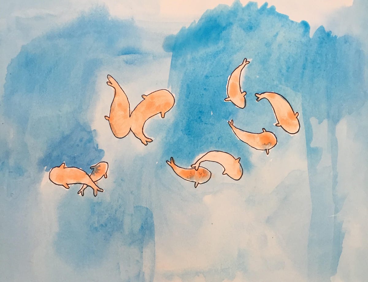 ORANGE FLOATS. Poem & Image by Laura Manardo | by Leopardskin & Limes ...