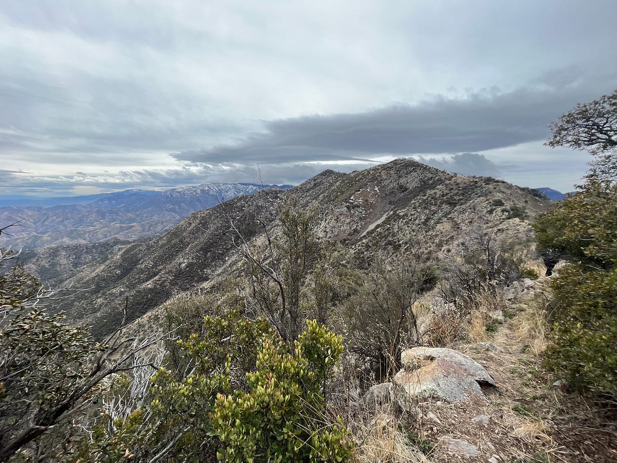 Day 17 — 13.9 miles — Summerhaven Post Office to Oracle | by Jessica ...