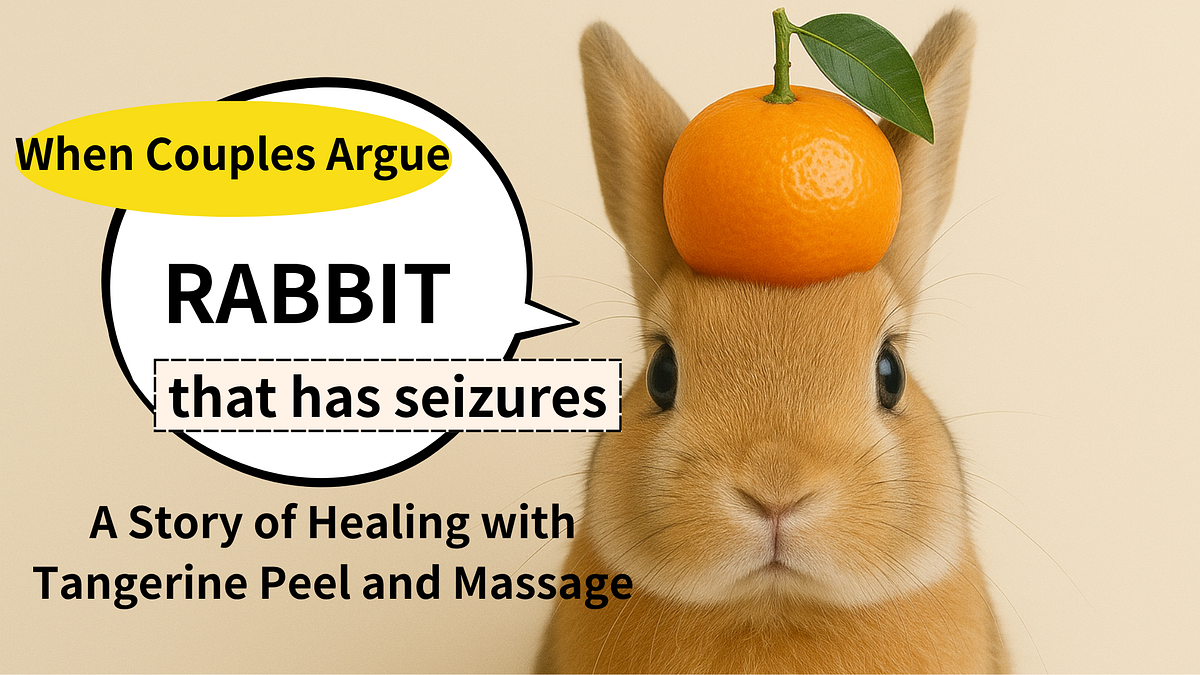 The Rabbit Who Felt Every Argument: A True Story of Emotional Healing ...