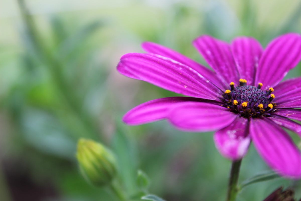 Being Happy is a Mindset. It is currently 5:33 on February 15… | by Patty | Medium