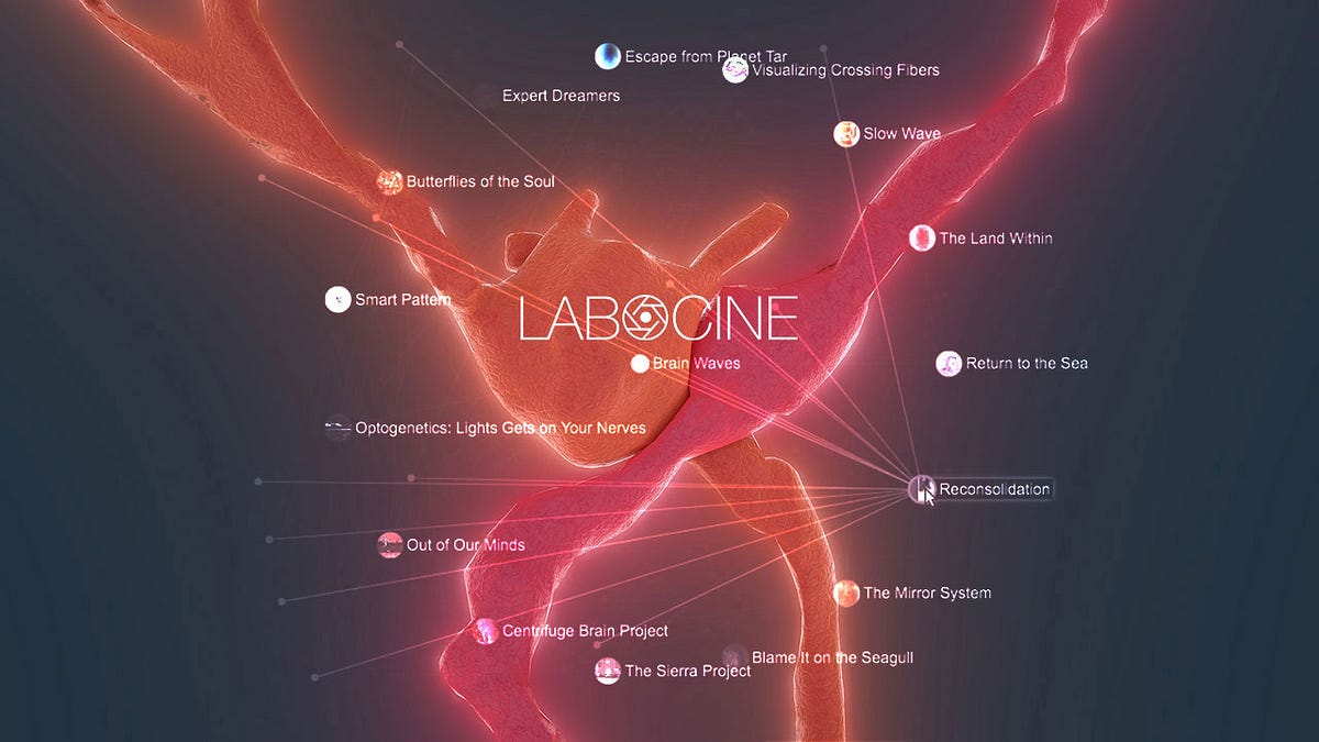Presenting the BRAIN WAVES Issue of Labocine | by Labocine | Journal of Labocine | Medium