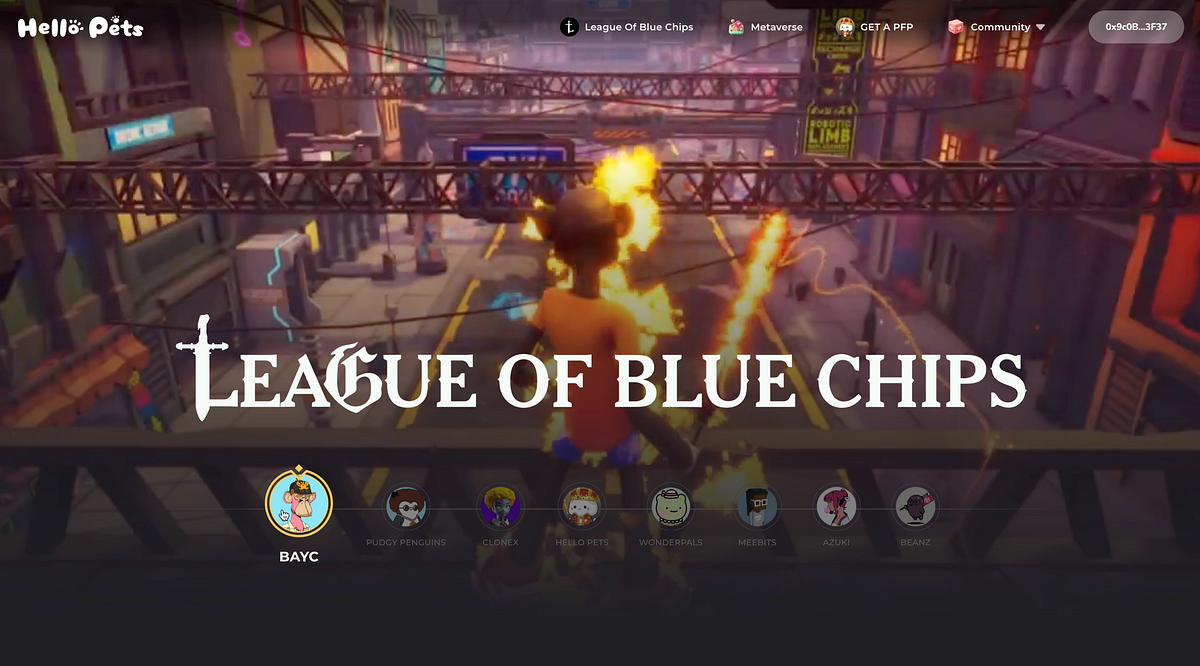 Introducing the League of Blue Chips Program | by Hello Pets | Medium
