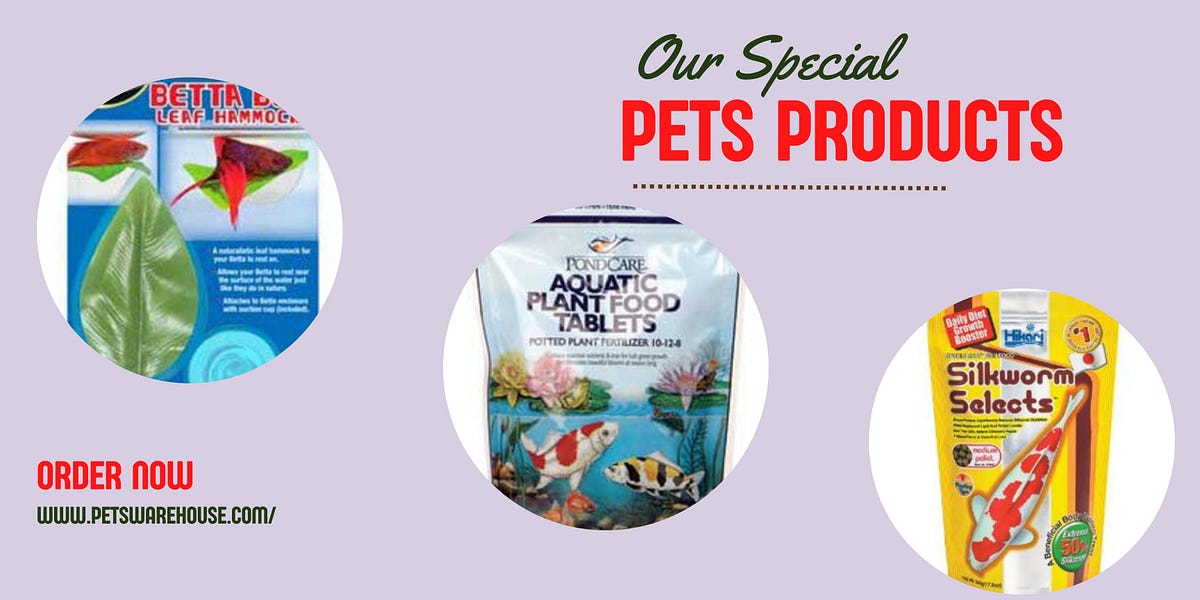 Reasons Why You Should Order Pet Supplies from Online Stores - Pets ...