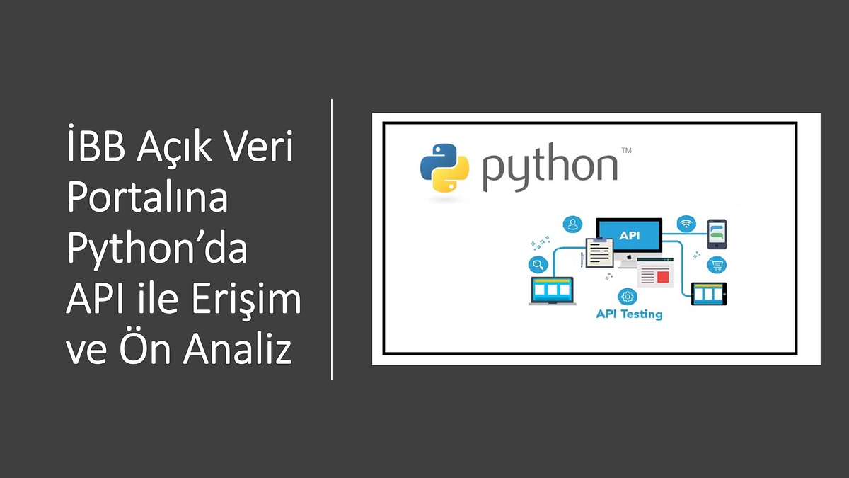 İBB Açık Veri Portalına Python’da API ile Erişim ve Ön Analiz | by ...