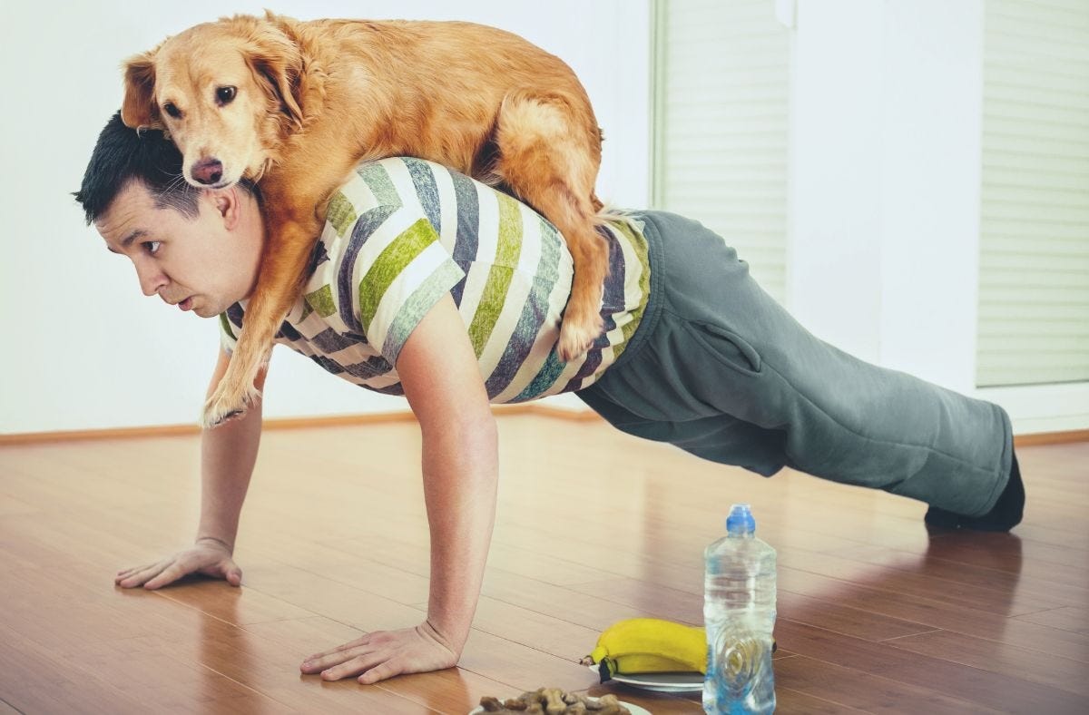 A Playful Guide to Dog-Approved Workouts | by Lorna Harvey | Bouncin ...