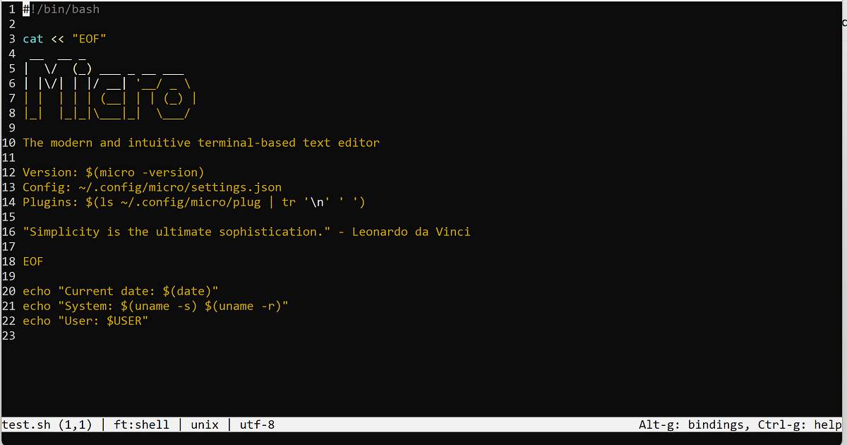 Top 10 Tips for the Micro Linux Editor: A Sysadmin’s Perspective | by Pascal | Sep, 2024 | Medium