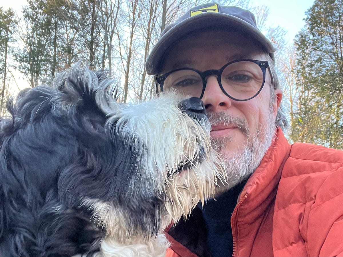 Two Types of People: A Dog’s Eye View of Human Nature, High Beams, and ...