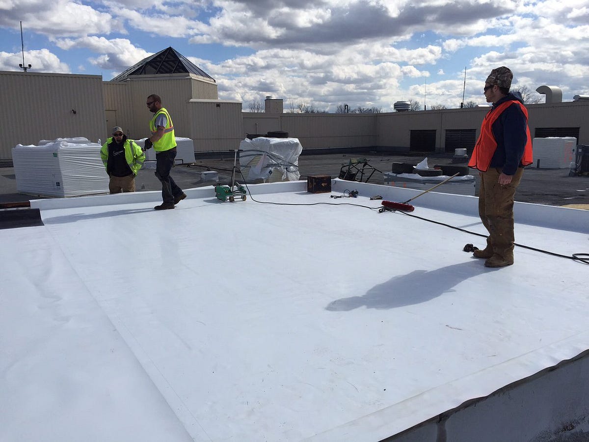TPO Thermoplastic polyolefin - 99Restoration - Medium