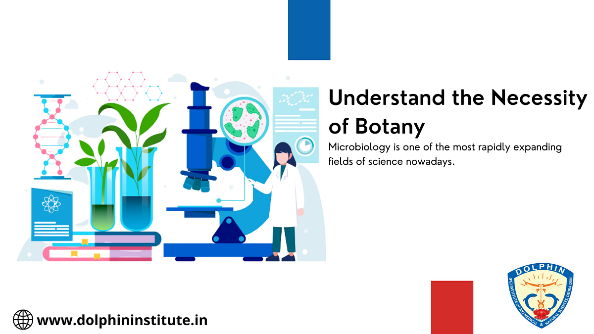 Understand the Necessity of Botany | by Dolphin Institute | Medium