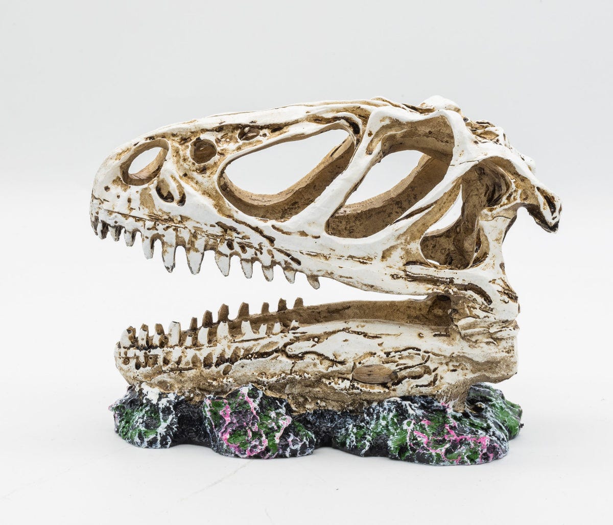 ProRep Allosaurus Skull 12.5x6x10cm | by Aquarium fish | May, 2024 | Medium