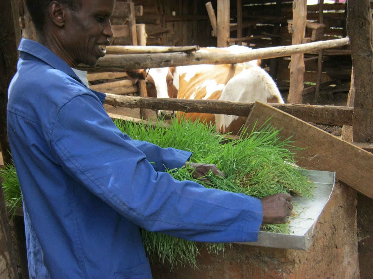 Importance of Sustainable Microenterprises for Small Farmers | by Sam ...