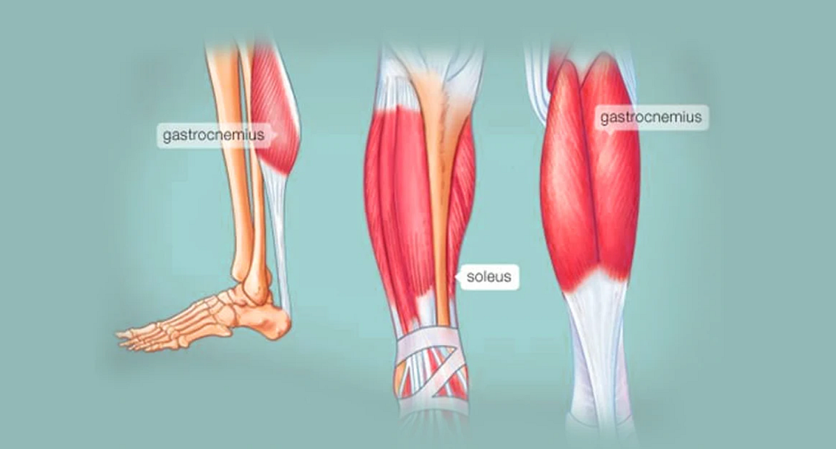 2 Simple Calf Exercises To Relieve Knee Pain | by Josh Bunch | Medium