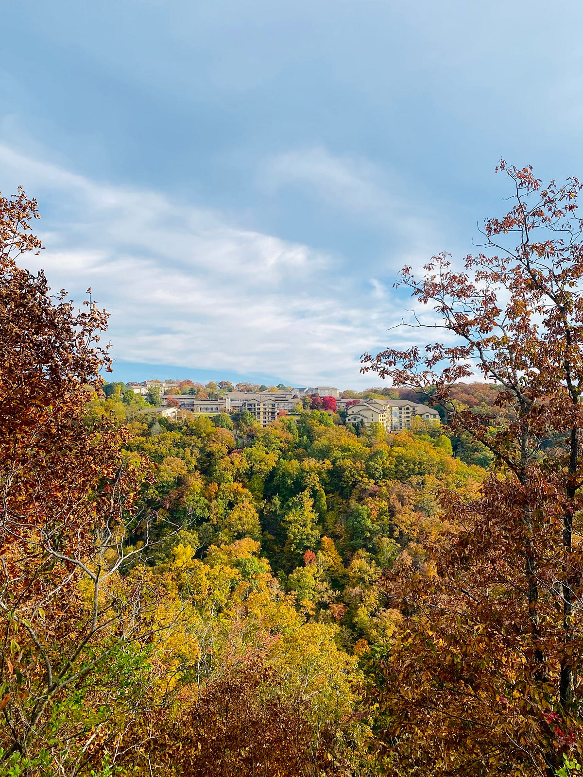 5 amazing places to hike and explore fall colors in Chattanooga | by ...