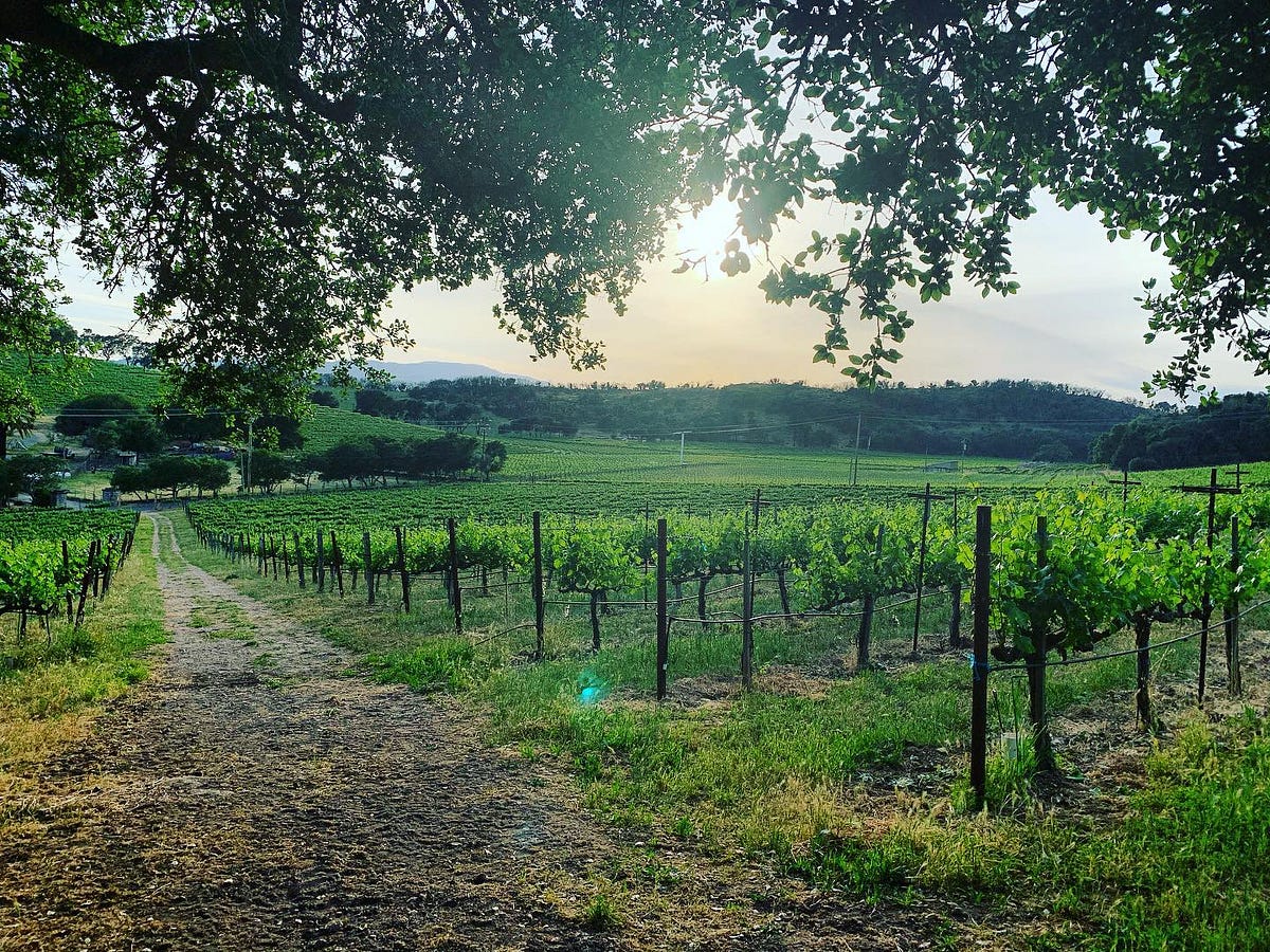 Water Smarter: Irrigation System Evaluations are an Effective Tool for ...