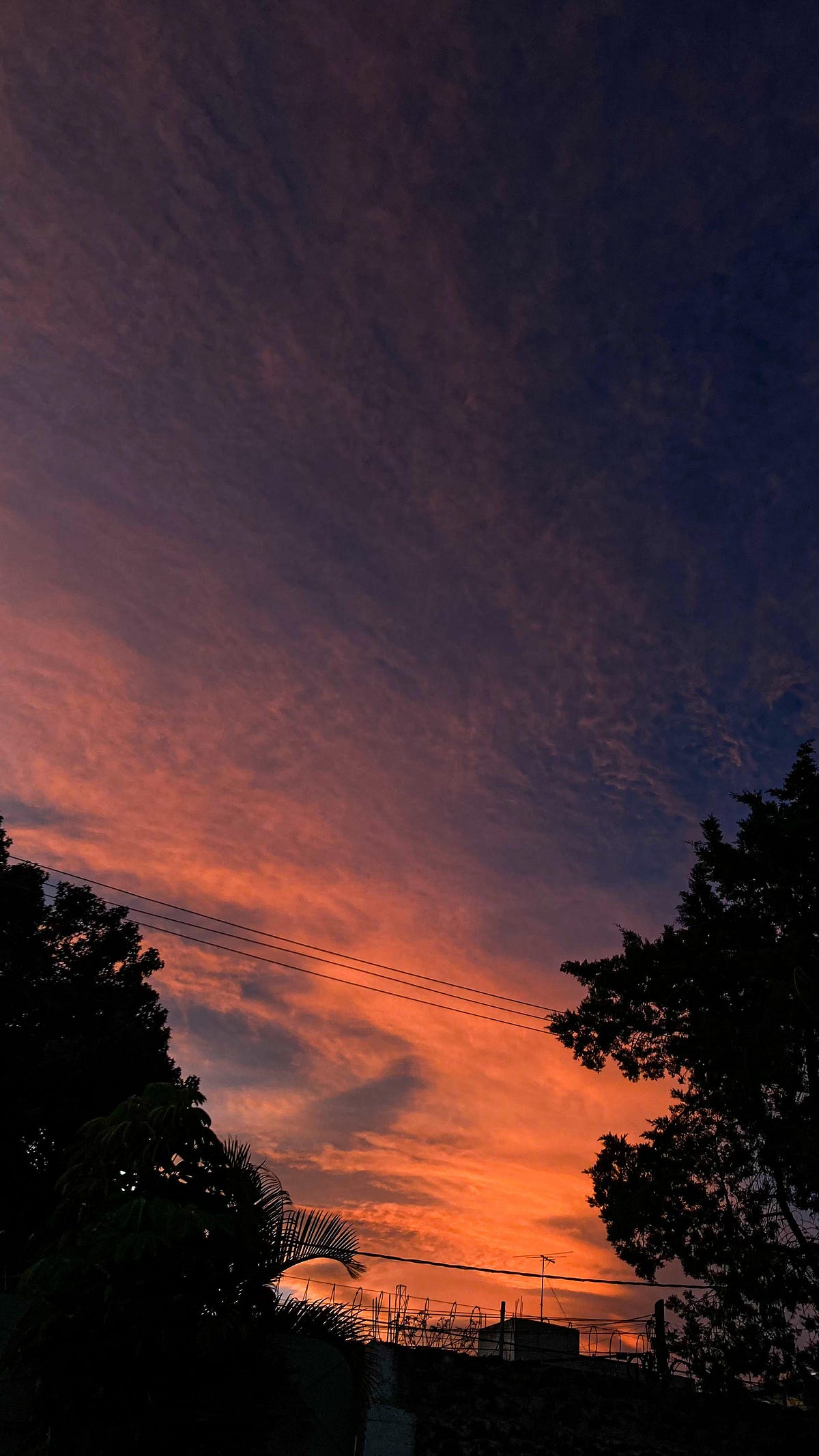 Me gustan los amaneceres y atardeceres de inicio de año. | by urbanitas ...