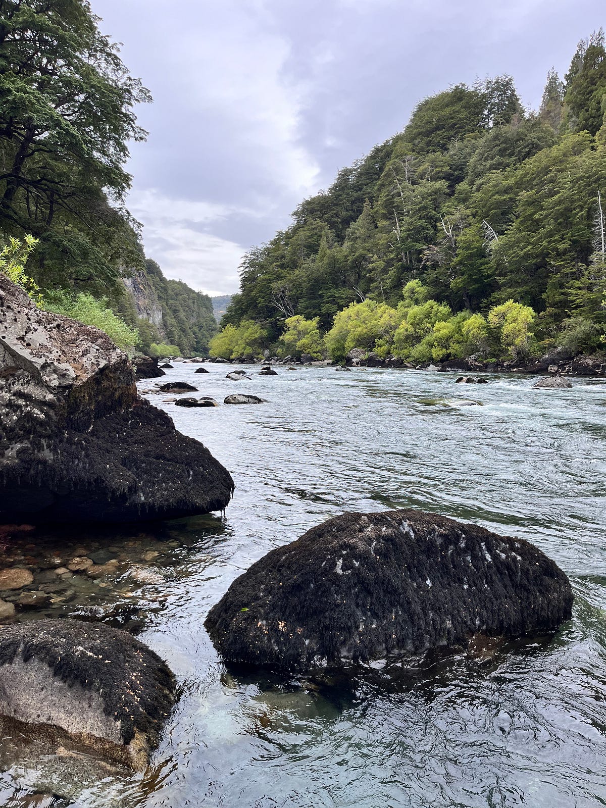 Los Sardines. Third farm with a fun group! | by Zach Parker | Feb, 2024 ...