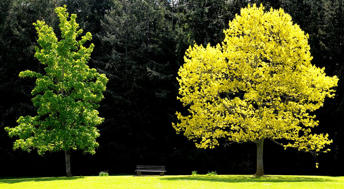 Arbor Day Is The Best Holiday. Almost all other holidays are about the ...