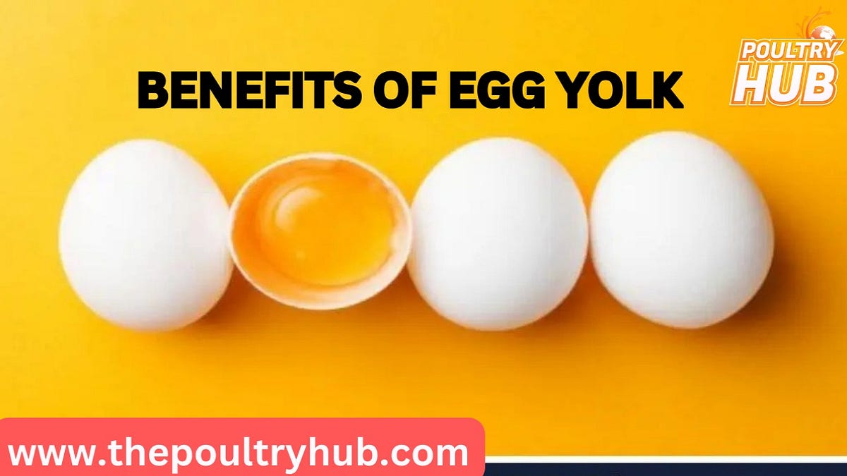 Unlocking Nature’s Bounty: 9 Benefits of Egg Yolk for a Happy and ...