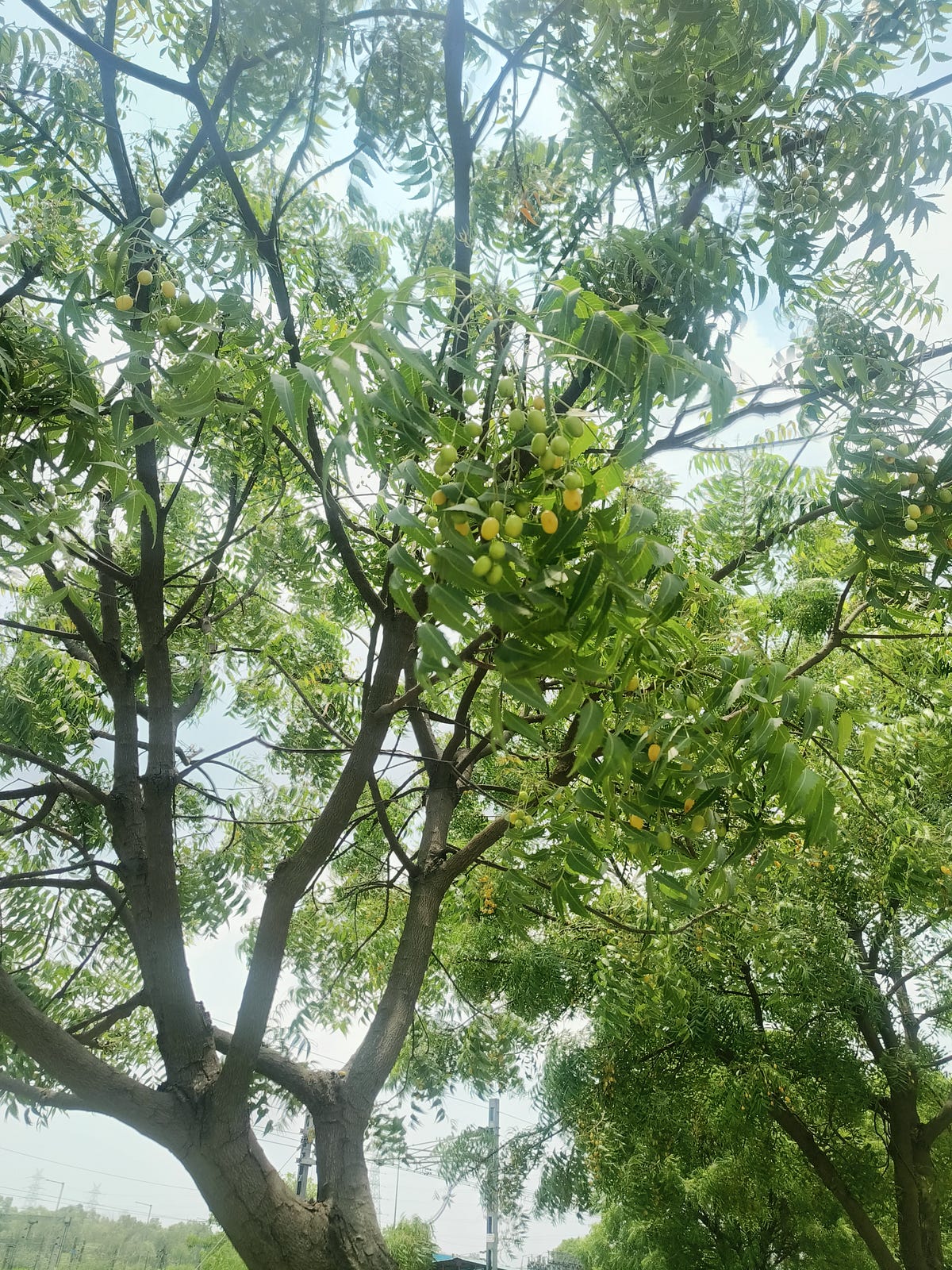 Not Everything That Tastes Bitter In Life Is Bad. | by Pavan kumar ...
