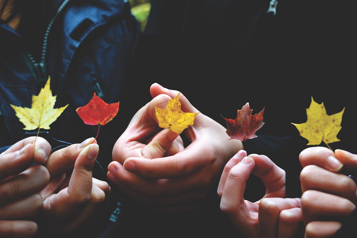 Alone or Together?. “Teamwork begins by building trust. And… | by ...