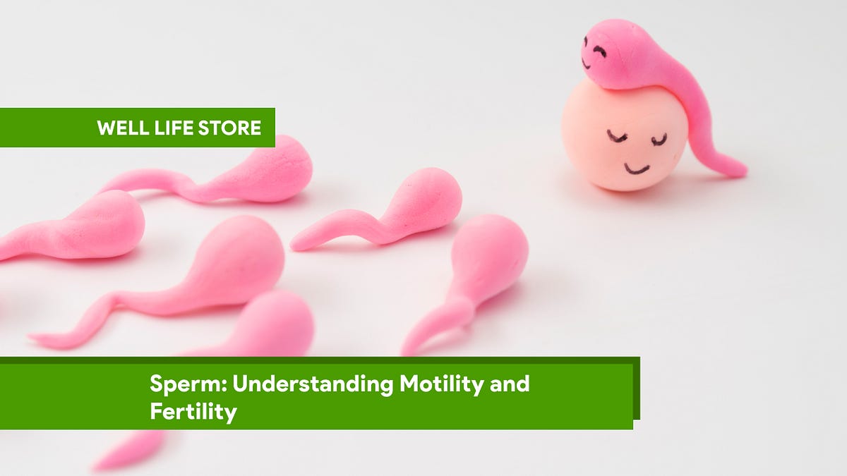 Sperm: Understanding Motility and Fertility | by Well Life Store | May, 2024 | Medium