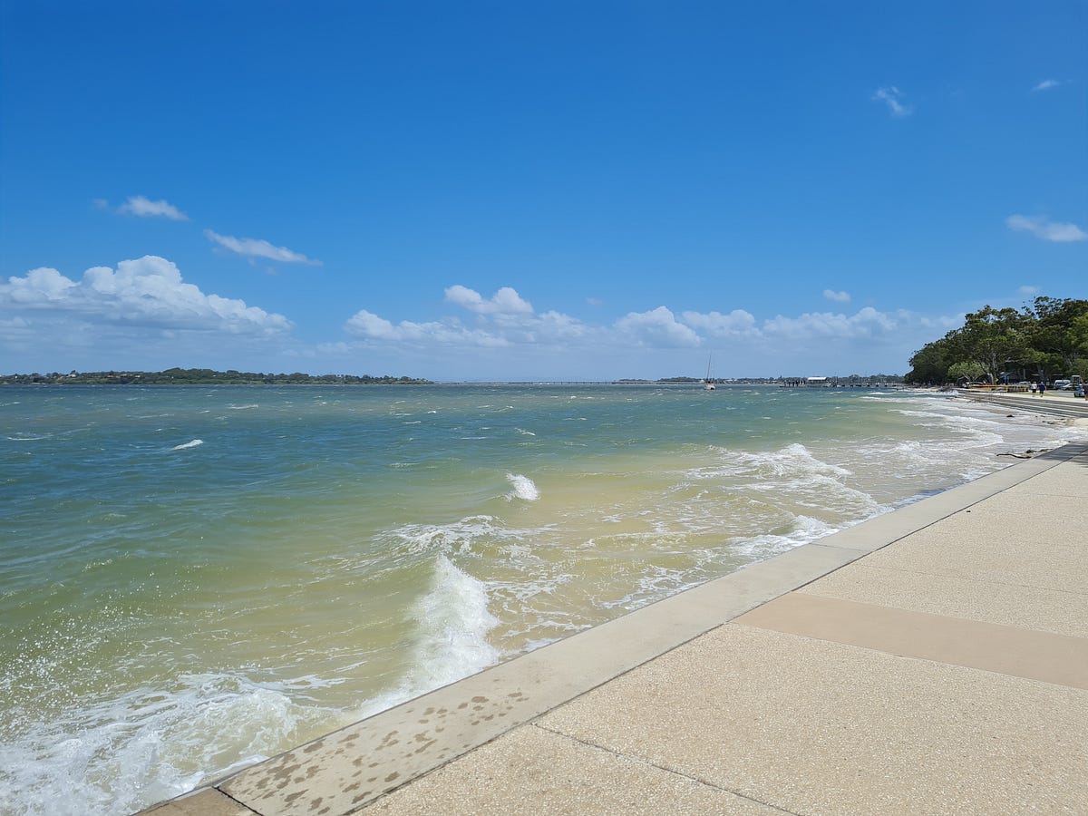 Weeknotes #24 — wind and whitecaps | by Tracey M Benson | Medium