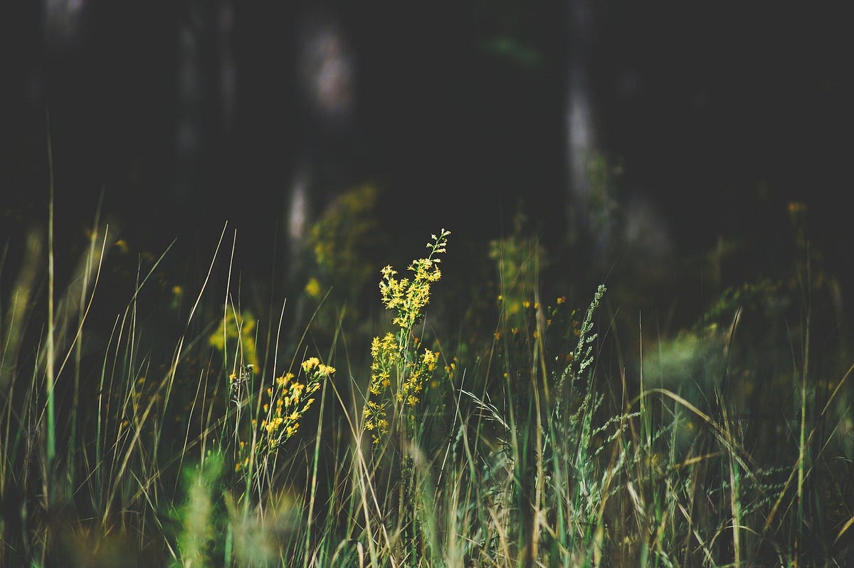 Bipolar Mania from a Spiritual Perspective | by Aimée Sparrow ...