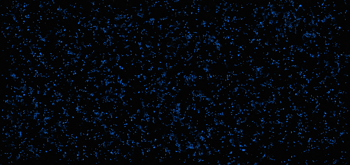 Start Creating Art with JavaScript | by Krishnanunny H | JavaScript in Plain English