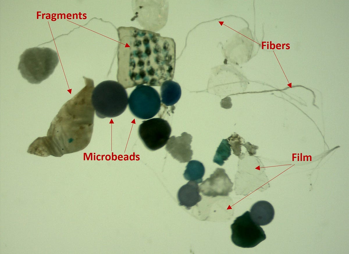 🌍 The Invisible Invaders: How Microplastics Are Taking Over Our World 🌱 ...
