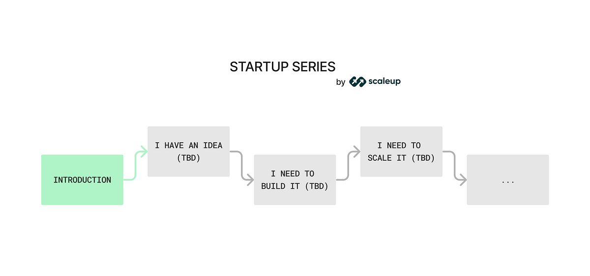 Startup Series #1 — Introduction. Why do we embark on the journey of… | by Adi Behlulovic ...
