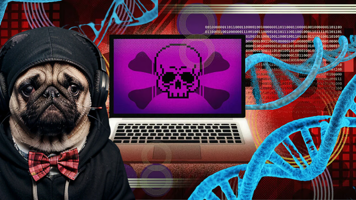 Pug Alert! Hackers Swipe Genetic Data from Million Peoples | by BWenz ...