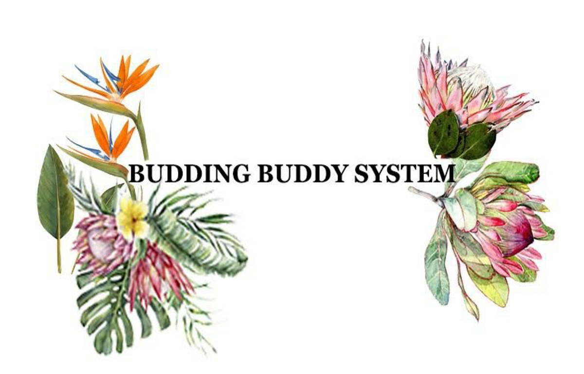 The Budding “Budding Buddy System” | by Hannah Rose Maté | Child ...