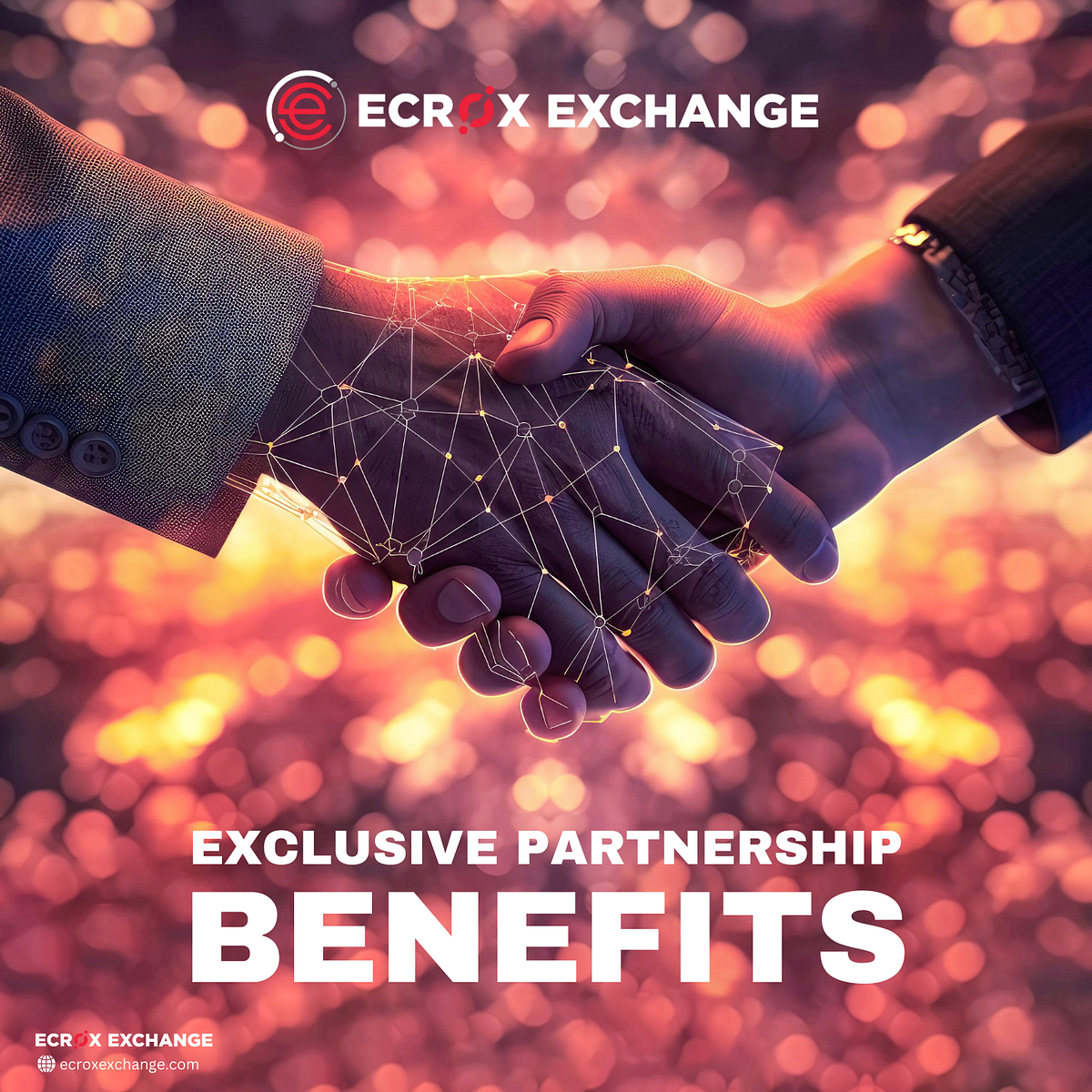 Exclusive Partnership Benefits - Ecrox exchange - Medium