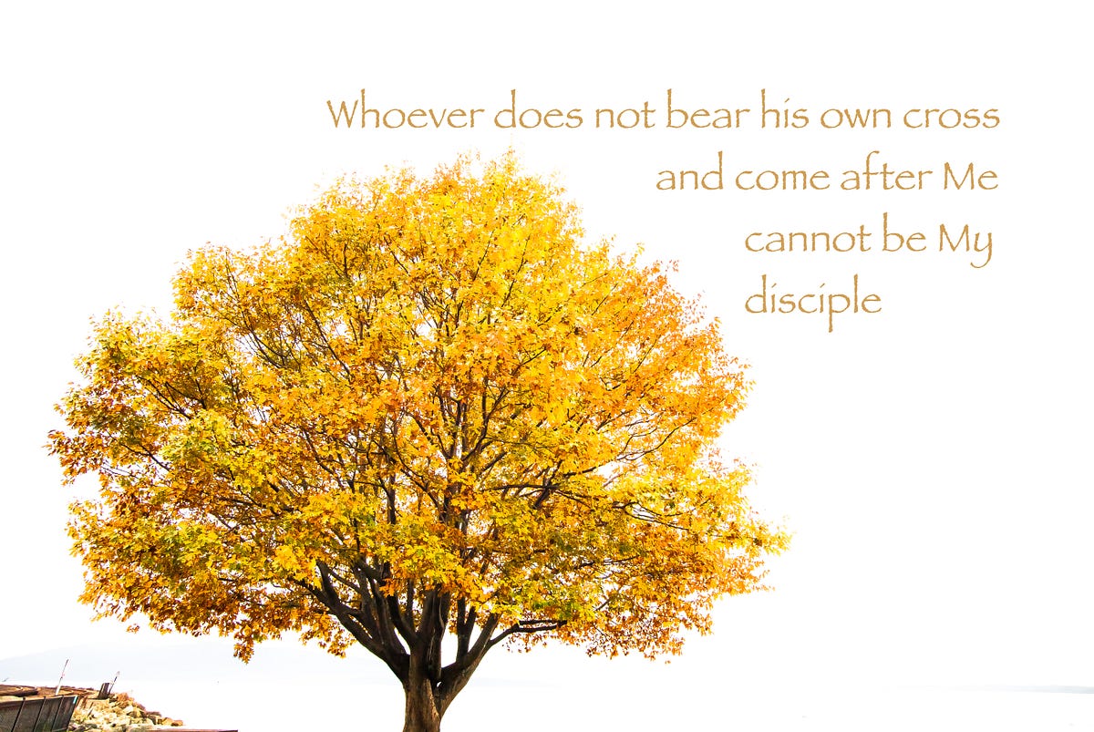 The Uncomfortable Truth. “‘Whoever does not bear his own cross… | by ...