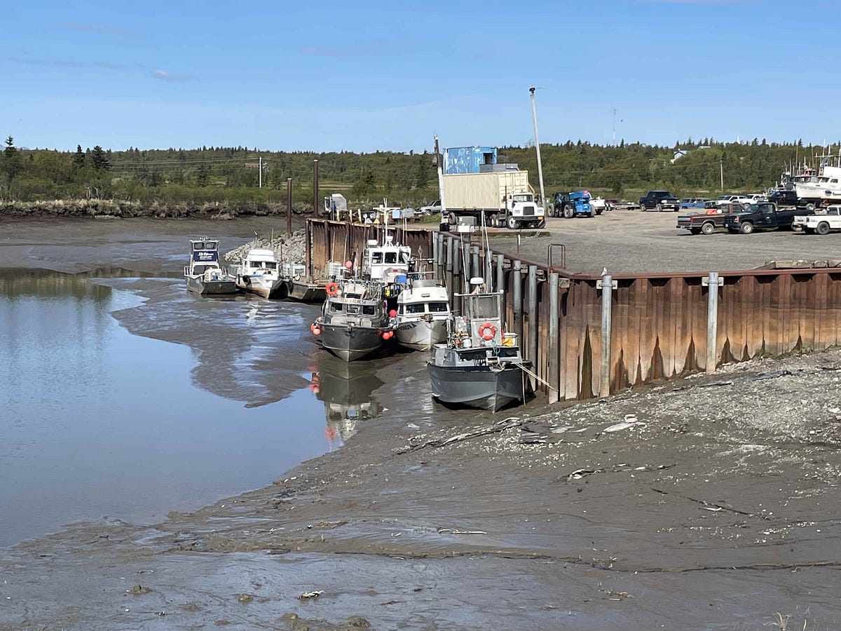 Dillingham and the Pebble Mine. June 16, 2023 | by Bill Urschel ...
