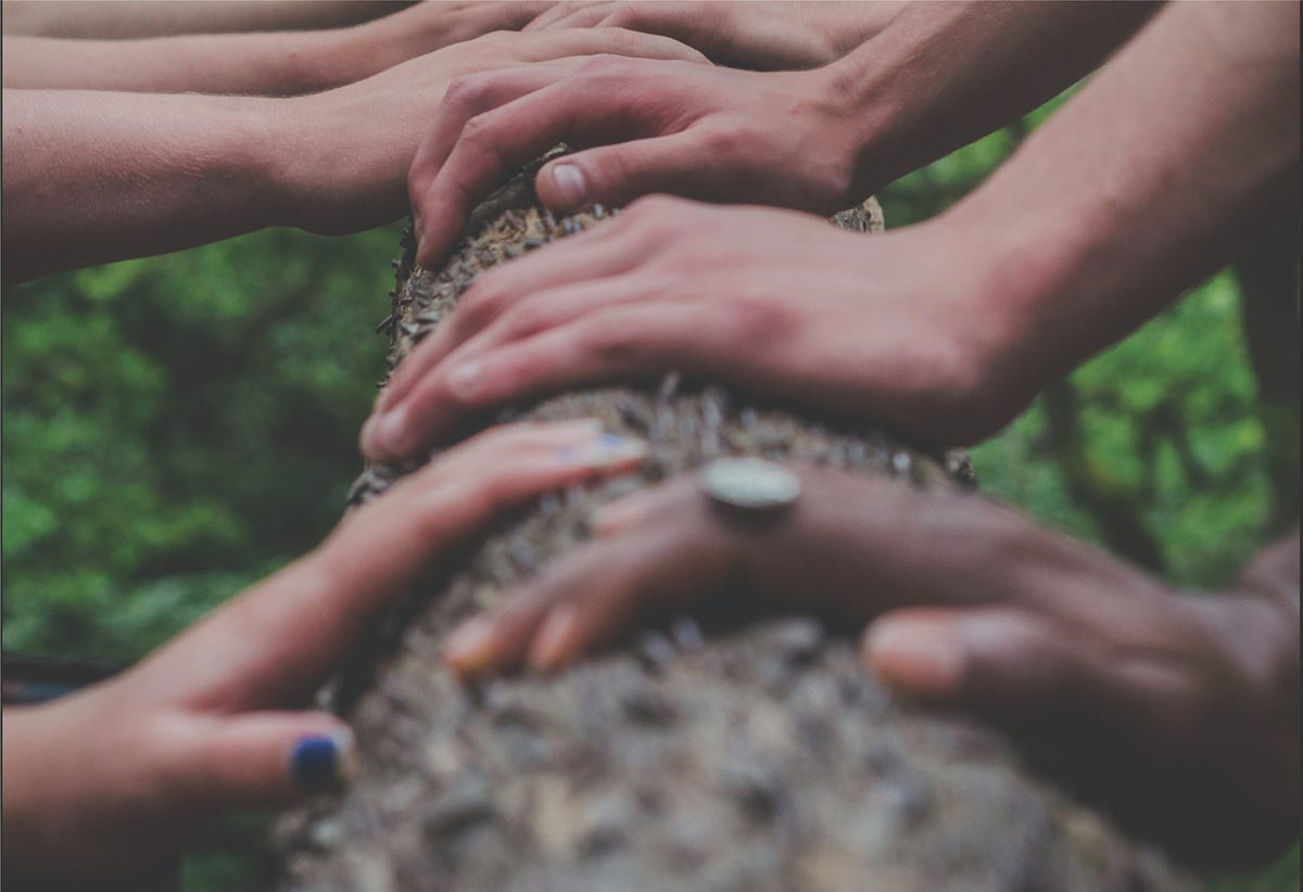 Finding Common Ground. Is this the philosophy that we need… | by Leah ...