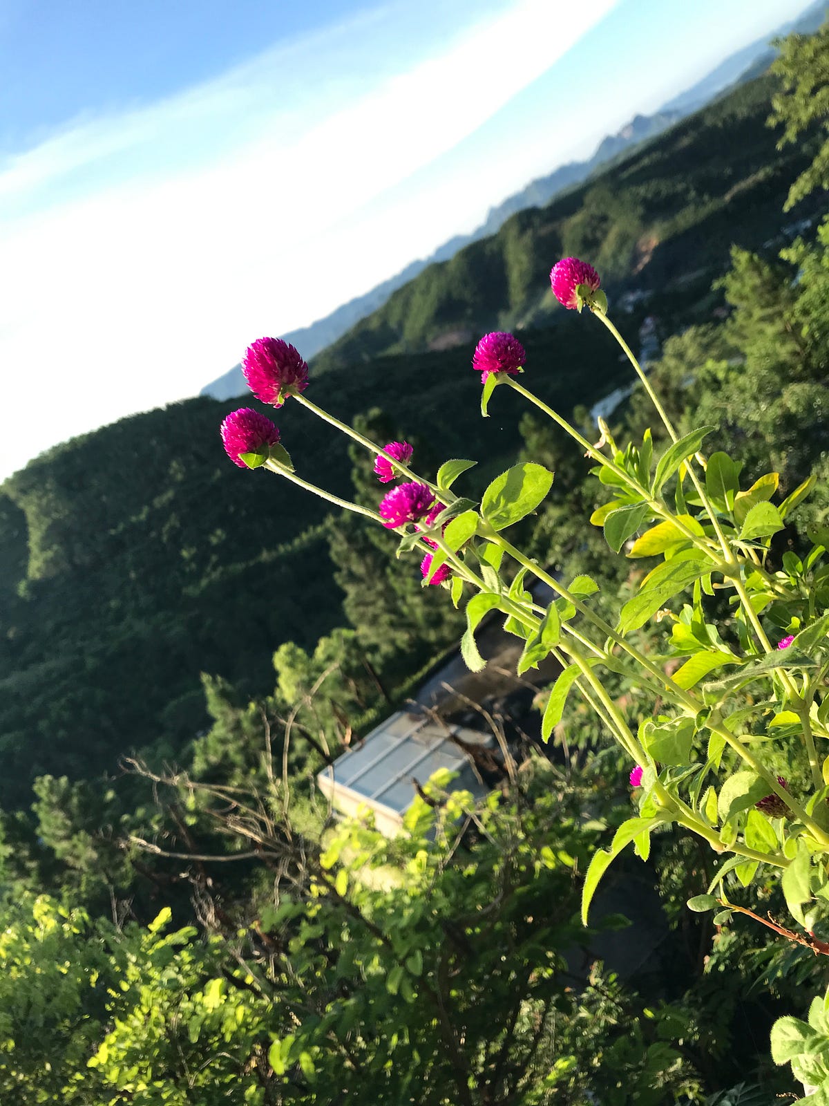 How to write unit test for your Network Layer in iOS | by Kevin Pham ...