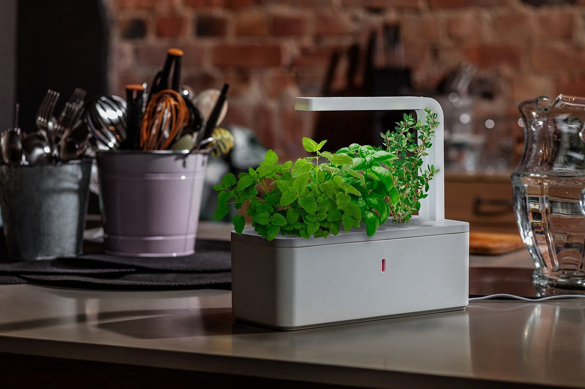 5 Ways Technology Will Change Our Gardens | by Green Tradr | Medium