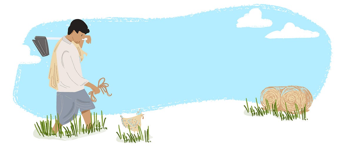 How To Design For The Farmer Community | by Lollypop Design | Muzli ...