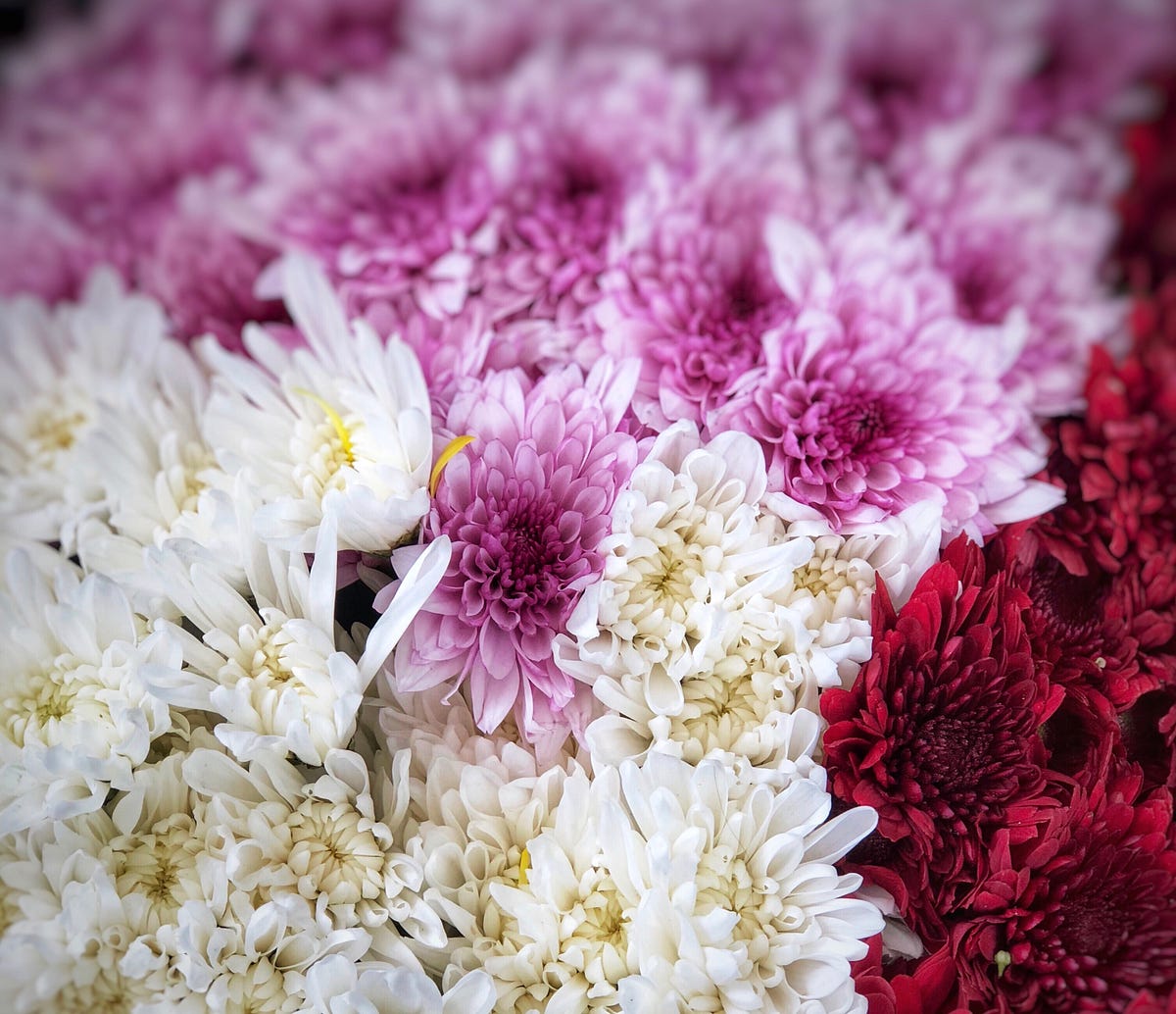 Finding Patterns in Nature.. There are limitless options for pattern ...