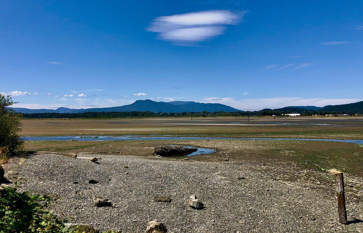 Tide Was Out Today, Far Out. Living in a marine environment has its ...