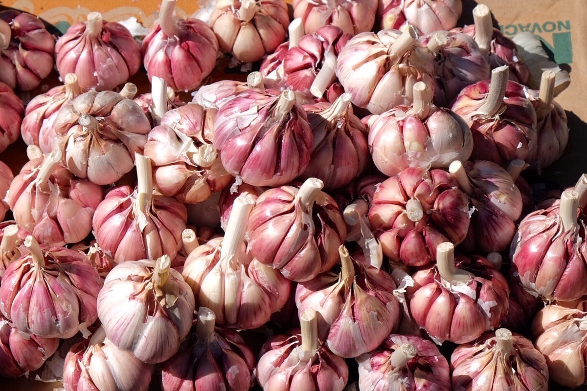 brazilian farmer’s market — a guide to going to the feira by: casa ...