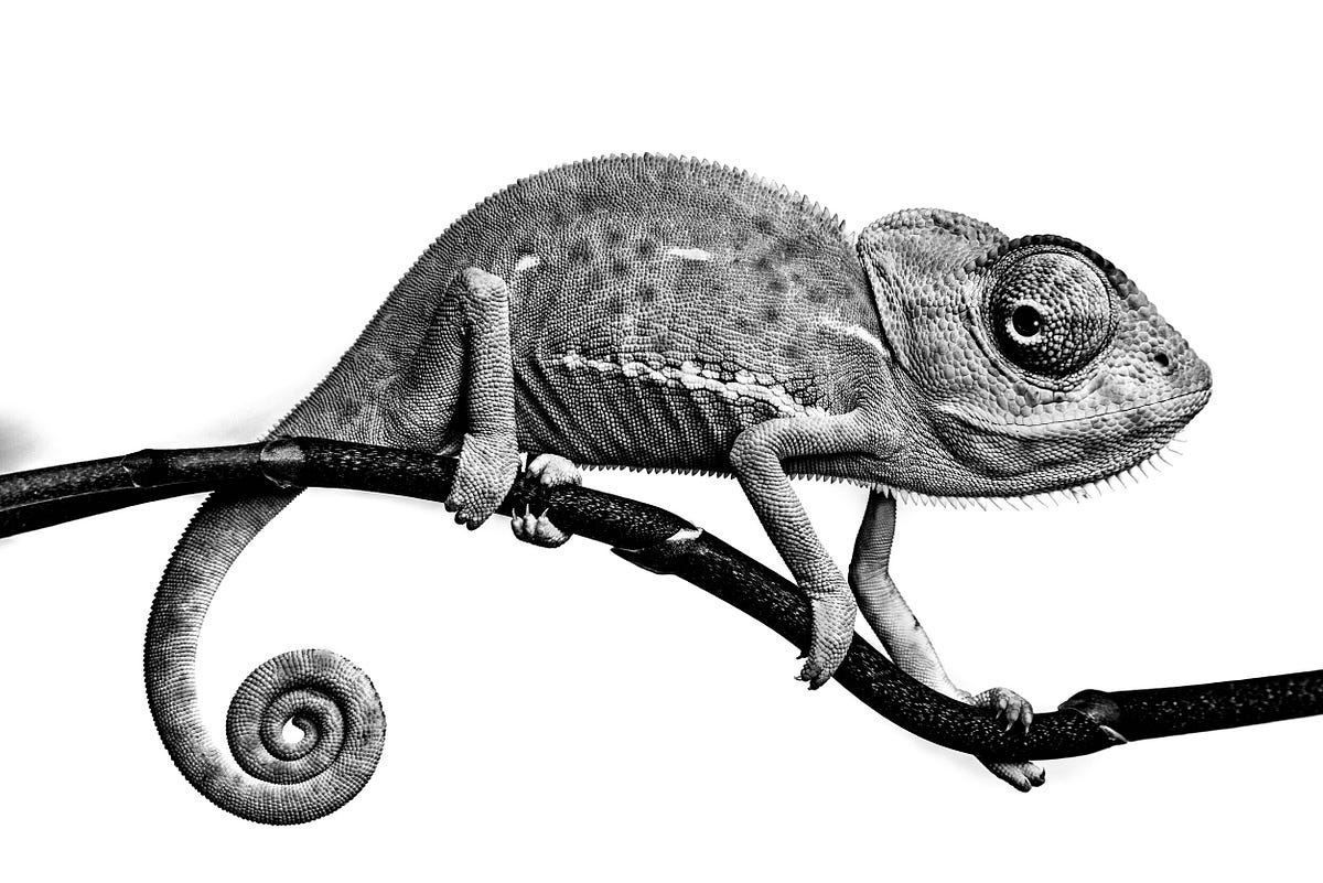 10 FREE BigQuery operations every data-pro should know | by James Green ...