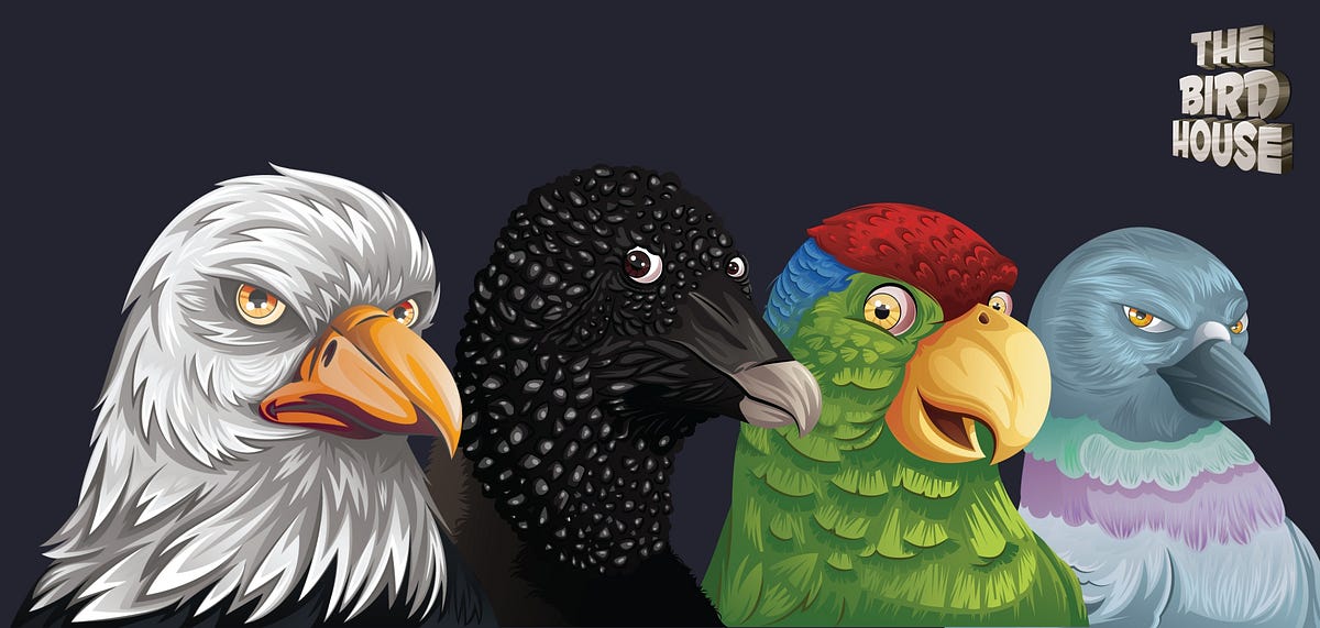 Welcome to The BirdHouse. The Birdhouse is a collection of 16… | by The ...