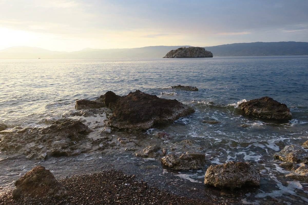 How to Control a Checkbox List vs a List of Radio Buttons with React Hooks | by Cristian ...