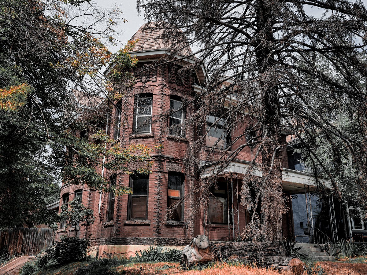 Asylum. The asylum stood like a withered corpse… | by Nicholas Bagley ...