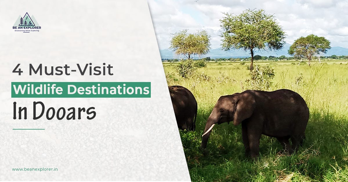 4 Must-Visit Wildlife Destinations In Dooars | by Beanexplorer | Medium