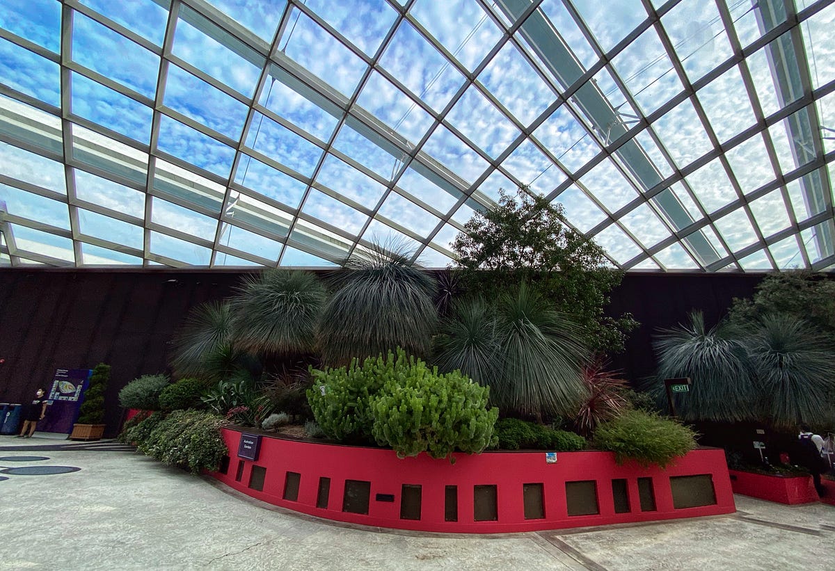 An Impromptu Visit to the Flower Dome | by Quiet Frame | Weeds ...